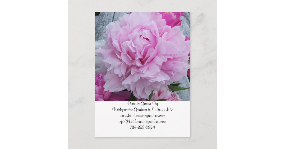 Wedding Florist Business Card Postcard | Zazzle