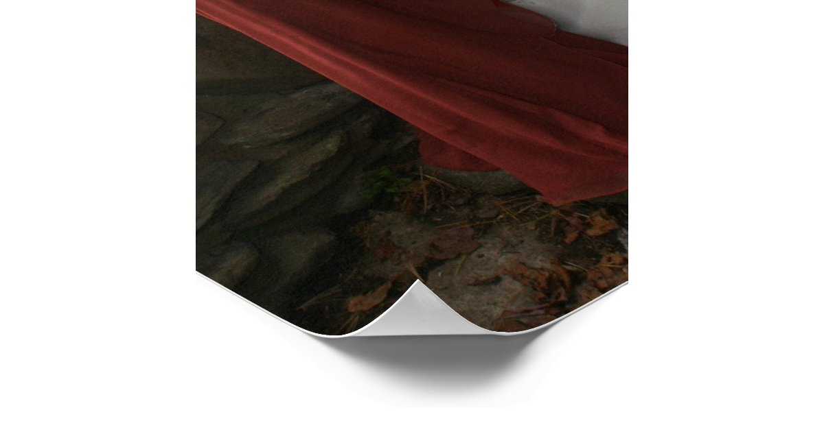 Wedding Photo Poster | Zazzle.com