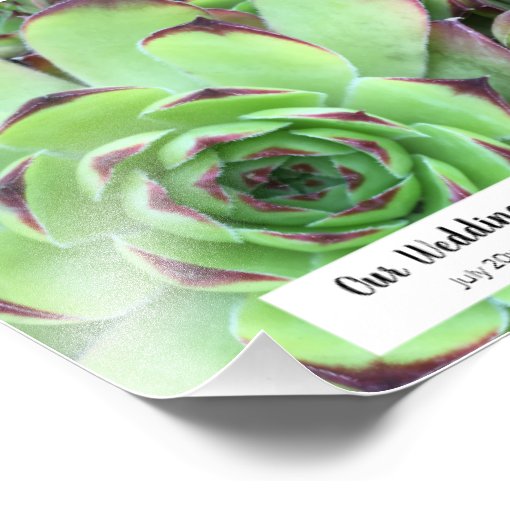 Wedding Pictures CD Jewel Case Cover Photo Print | Zazzle