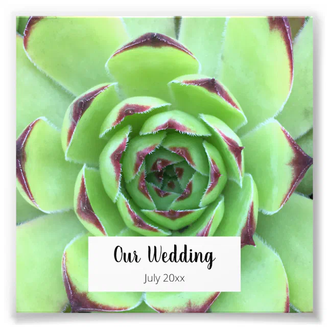 Wedding Pictures CD Jewel Case Cover Photo Print | Zazzle