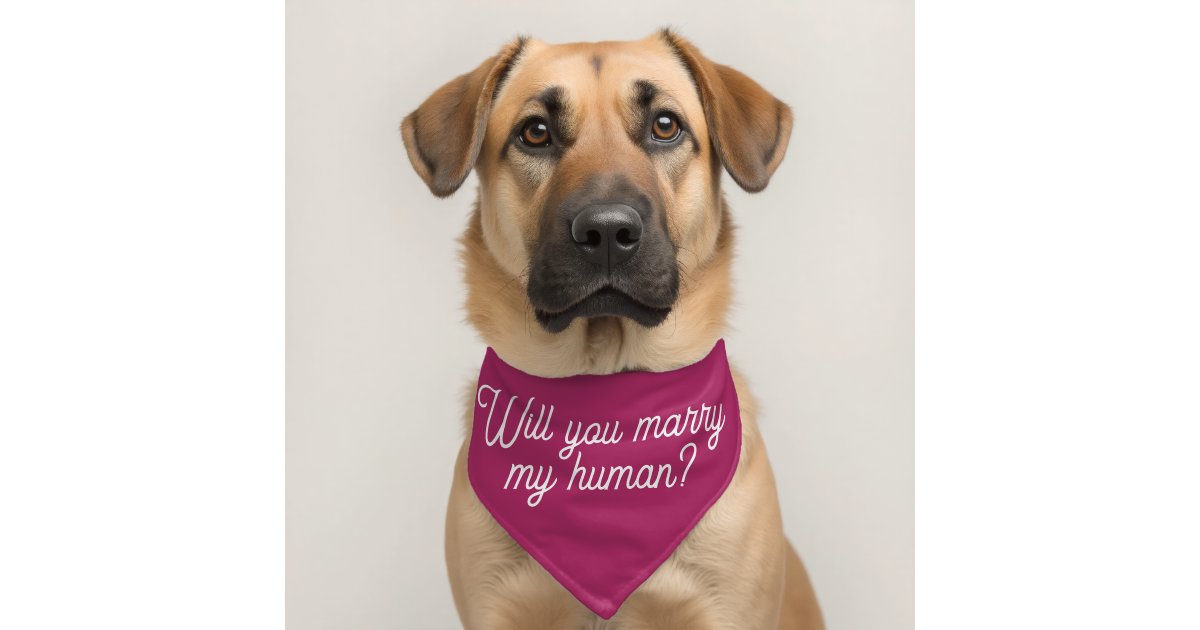 Wedding Proposal Cute Pink Dog Pet Bandana Collar | Zazzle