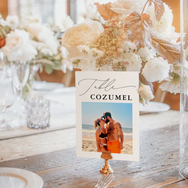 Wedding Travel Adventure Photo Table Number | Zazzle