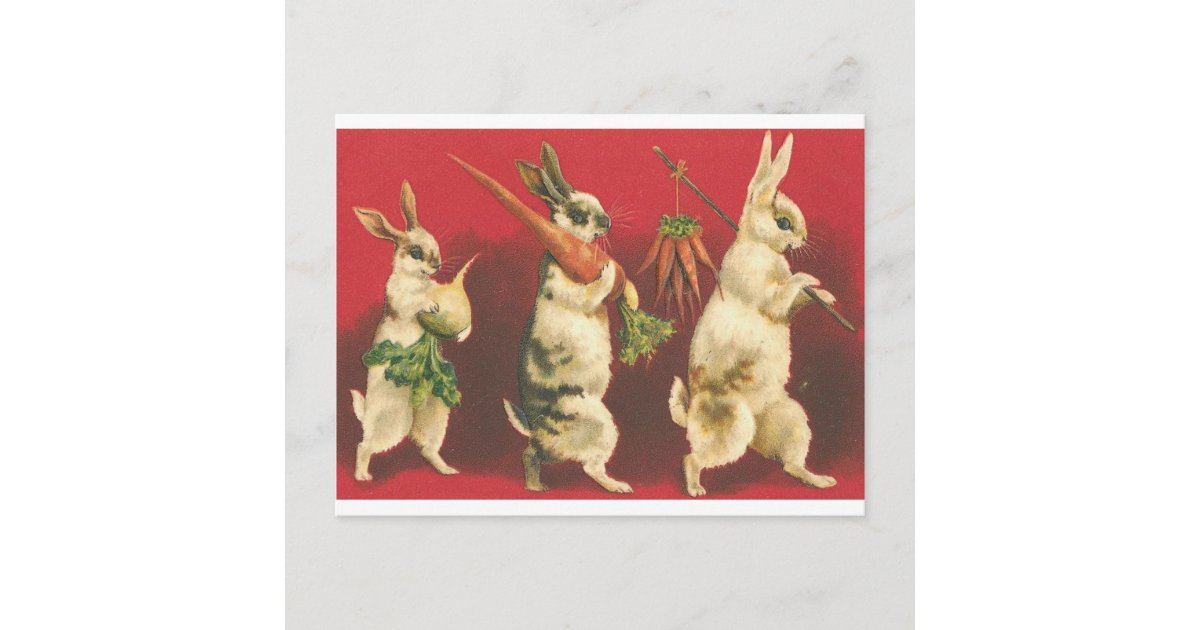 Wee Three Rabbits Postcard | Zazzle