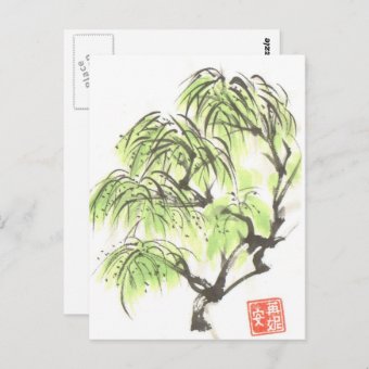 Weeping Willow Tree Postcard | Zazzle