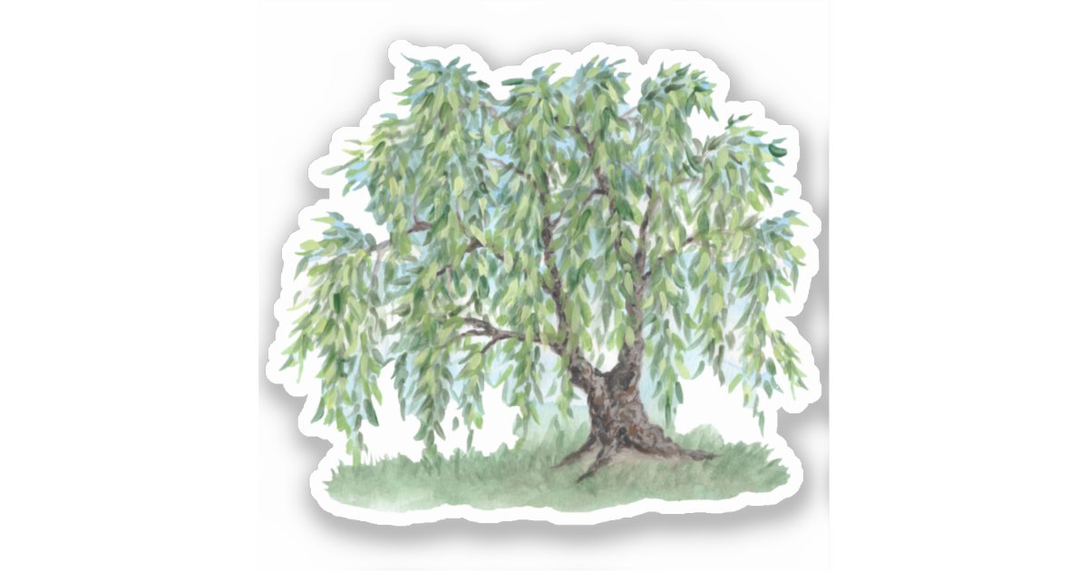 Weeping Willow Vinyl Sticker | Zazzle