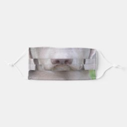 Weimaraner Face Adult Cloth Face Mask | Zazzle