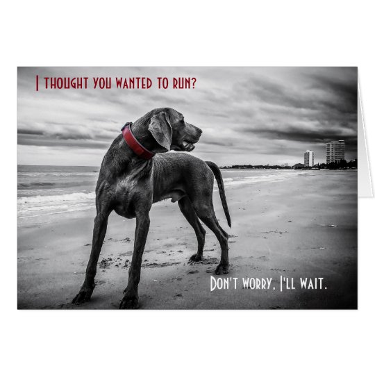Weimaraner funny birthday card | Zazzle.com