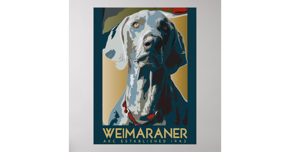 Weimaraner Nation : AKC Weimaraner Poster | Zazzle