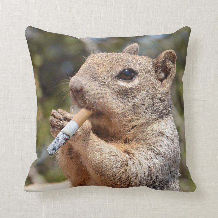 Weird and Funny Cigarette Smoker Squirrel Pillow | Zazzle.com