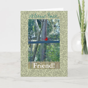 Welcome Back Cards | Zazzle