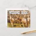 WELCOME BACK Postcard | Zazzle