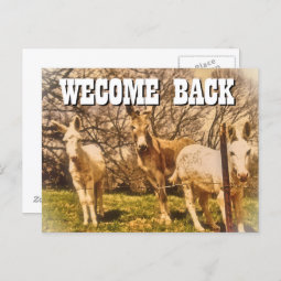 WELCOME BACK Postcard | Zazzle