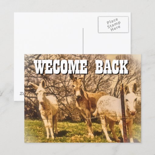 WELCOME BACK Postcard | Zazzle