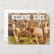 WELCOME BACK Postcard | Zazzle