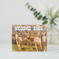 WELCOME BACK Postcard | Zazzle