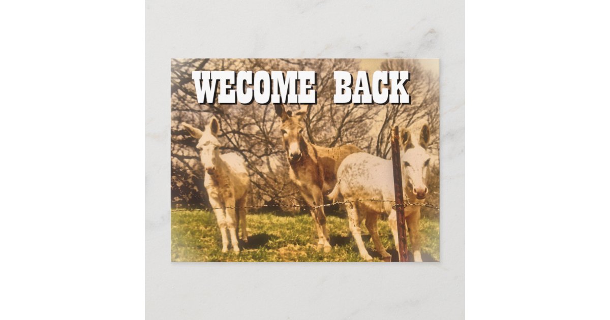 WELCOME BACK Postcard | Zazzle