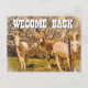 WELCOME BACK Postcard | Zazzle