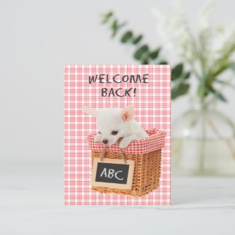 Welcome back puppy postcard | Zazzle