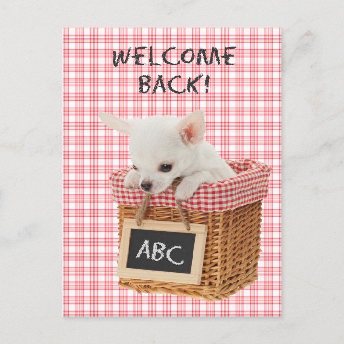 Welcome back puppy postcard | Zazzle.com