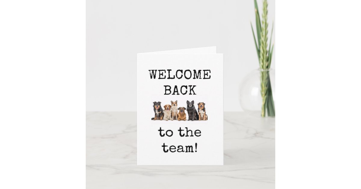 Welcome Back to the Team, Office, Card | Zazzle