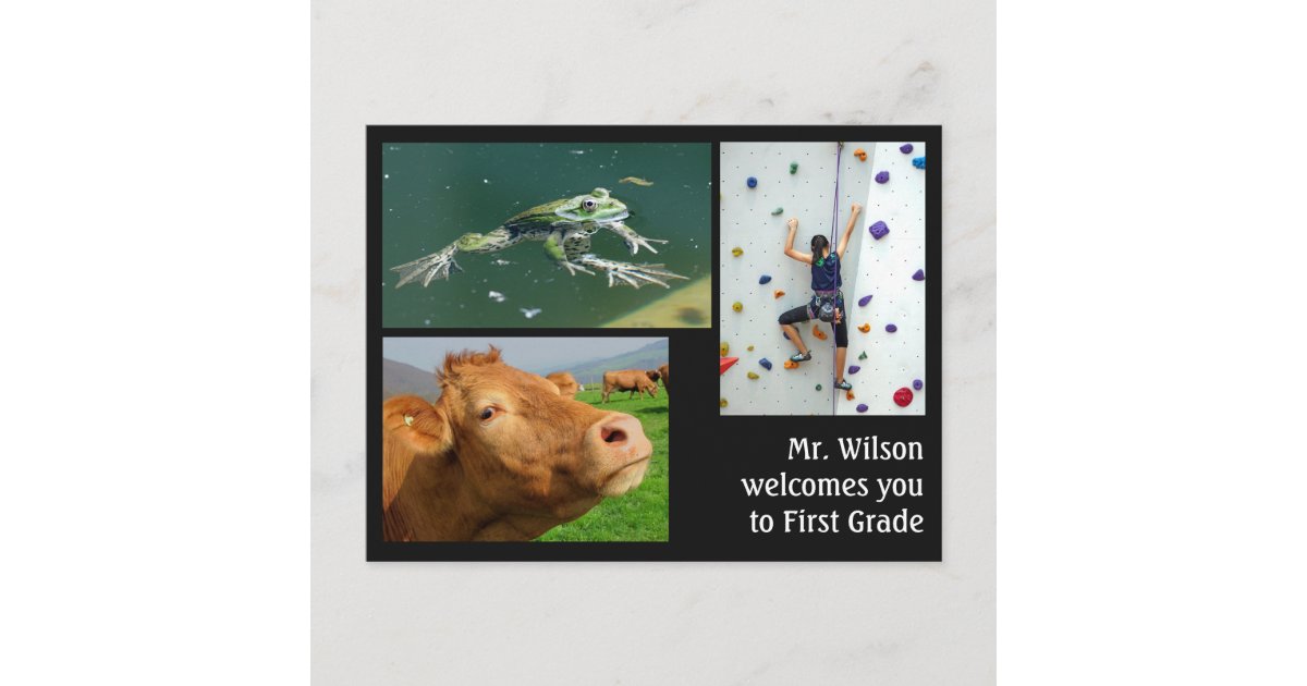 Welcome From the Teacher Custom Photos Postcard | Zazzle