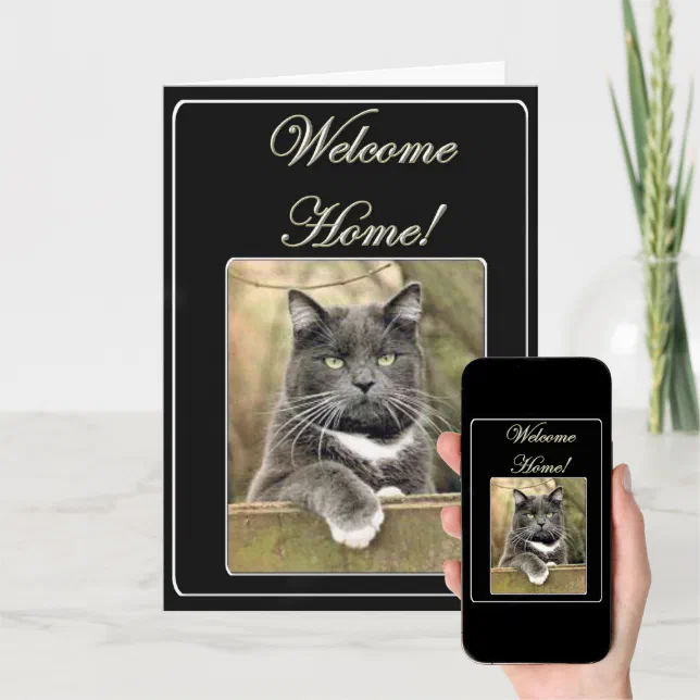 Welcome home cat greeting card | Zazzle