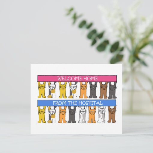 Welcome Home from the Hospital Cartoon Cats Postcard | Zazzle