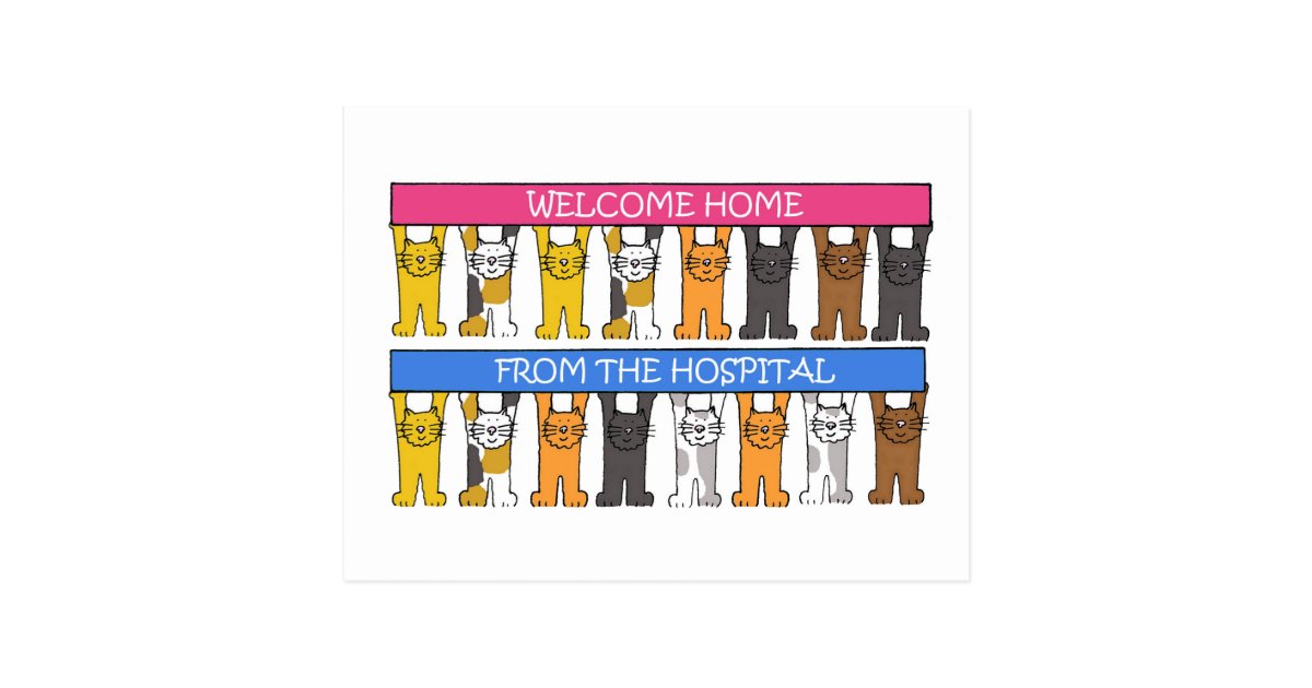 Welcome Home from the Hospital, Cartoon Cats. Postcard | Zazzle.com