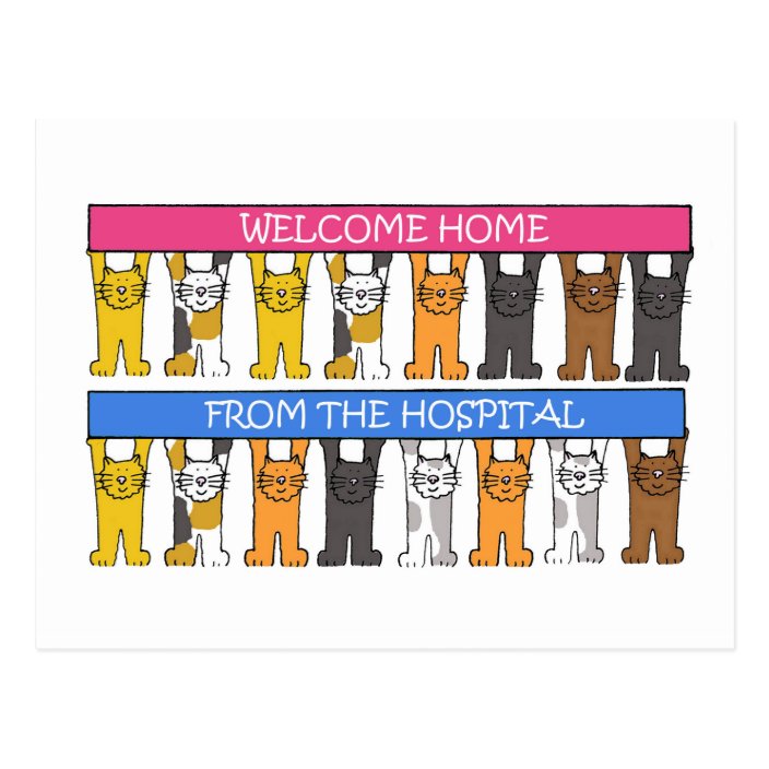 Welcome Home from the Hospital, Cartoon Cats. Postcard | Zazzle.com