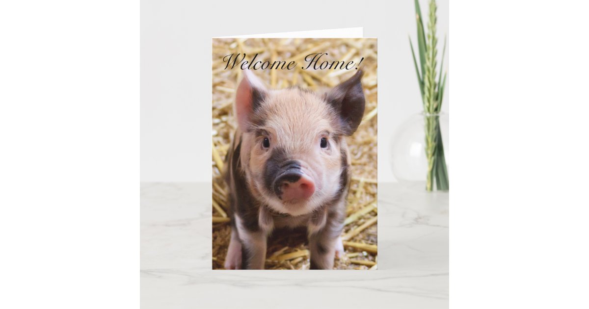 Welcome Home Piglet greeting card | Zazzle