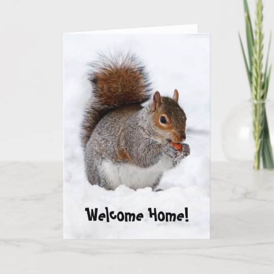 Welcome Home Squirrel Greeting card | Zazzle.com