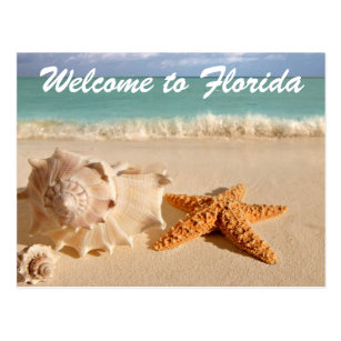 Welcome To Florida Postcards - No Minimum Quantity | Zazzle