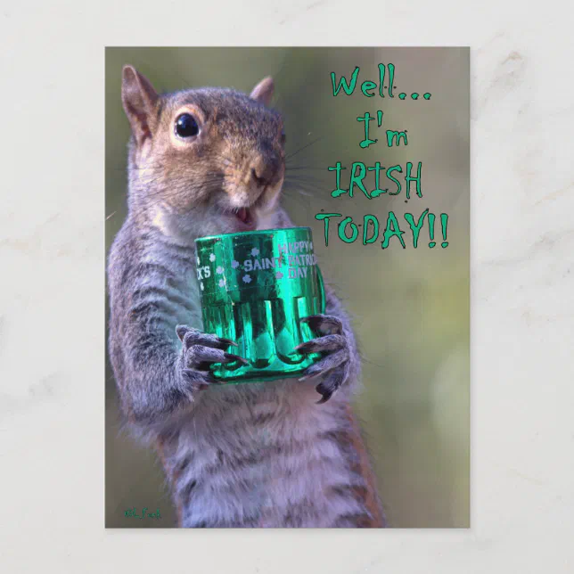"Well... I'm IRISH TODAY!" Postcard | Zazzle