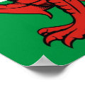 Welsh flag, "Cymru am byth", The red dragon Poster | Zazzle