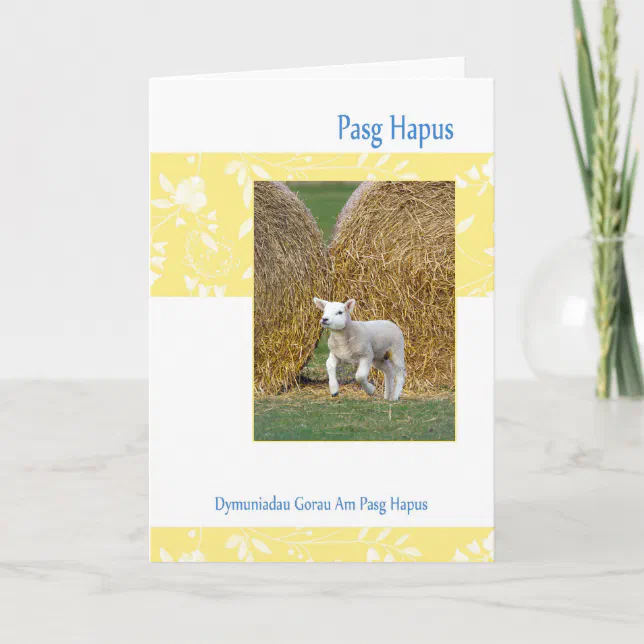 Welsh Pasg Hapus, Easter Card With Spring Lamb | Zazzle