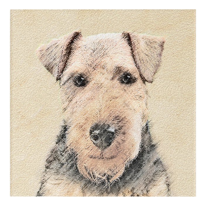 Welsh Terrier Painting - Cute Original Dog Art | Zazzle.com