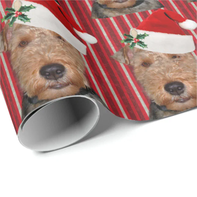 Welsh Terrier with Santa Claus hat Wrapping Paper | Zazzle