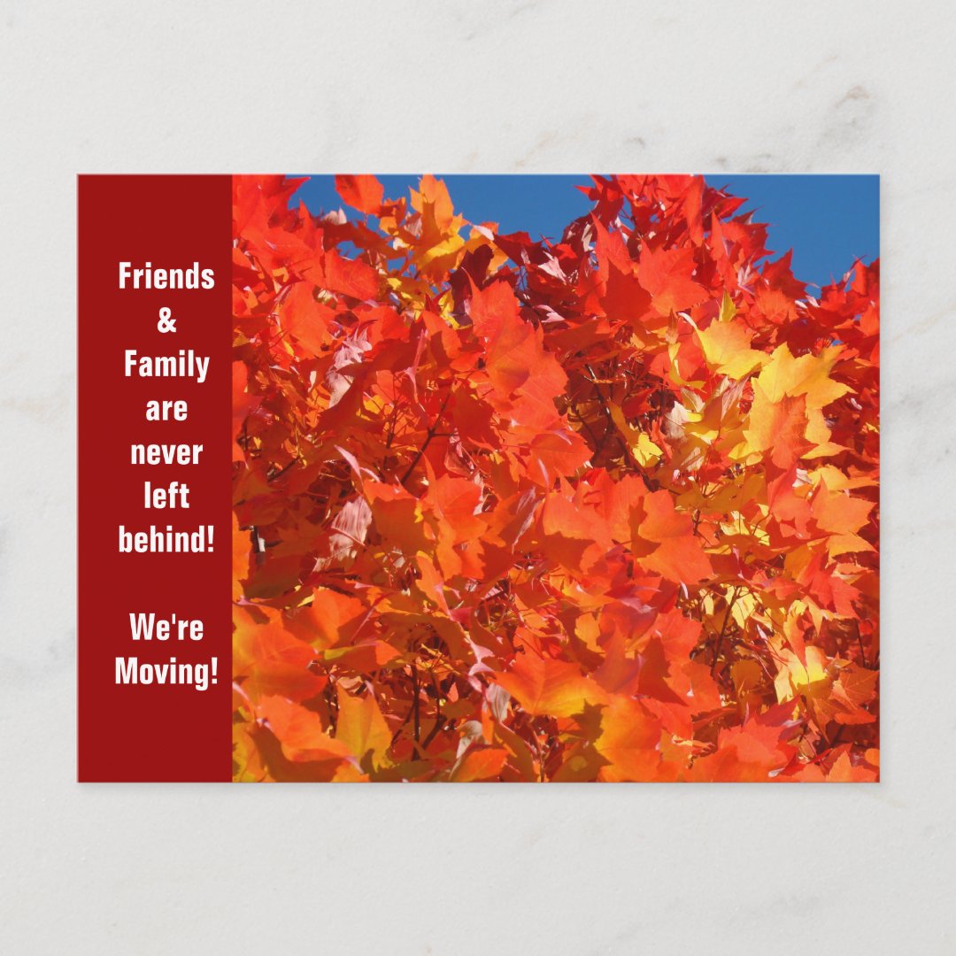 We're Moving Postcards Friend & Family Moving | Zazzle