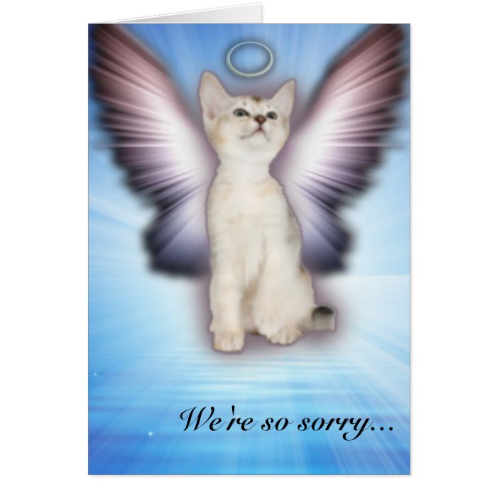 We're so sorry - Cat Sympathy - Group Card | Zazzle