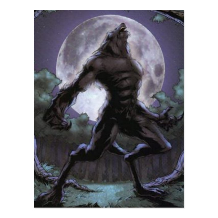 Werewolf Howling At The Moon Postcard | Zazzle.com