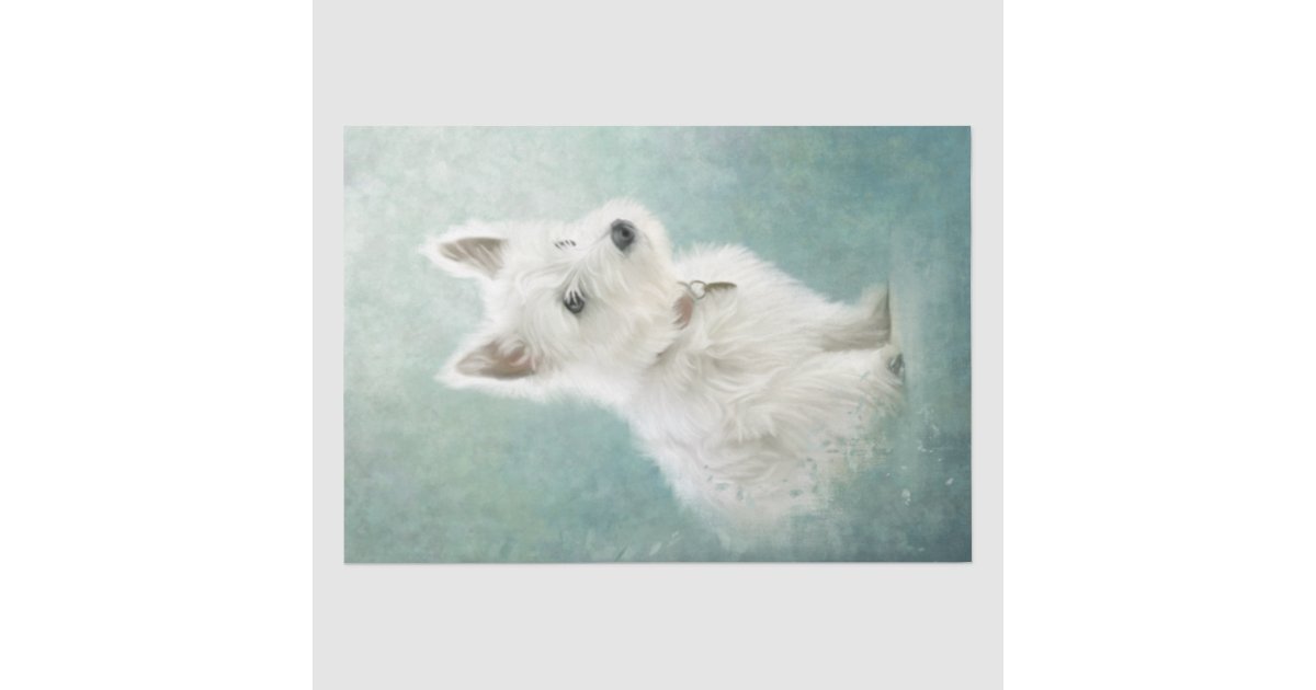 West Highland White Terrier Tissue Paper | Zazzle