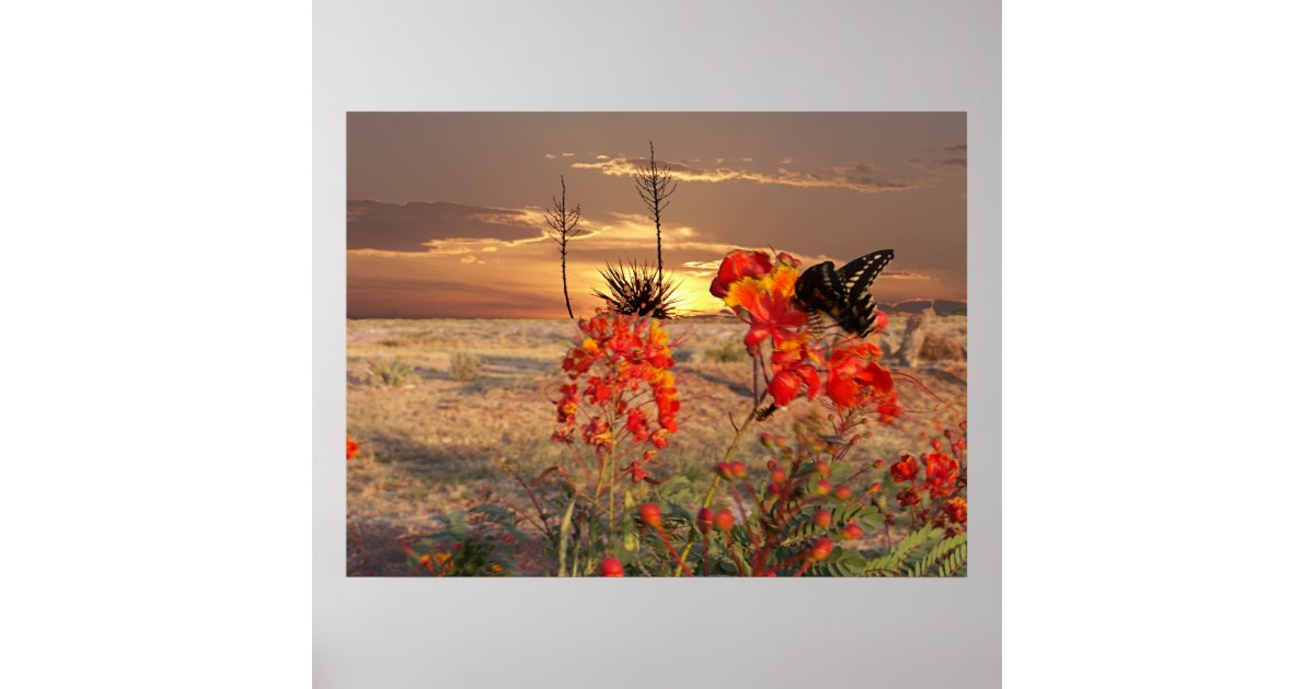 West Texas Sunset Poster | Zazzle