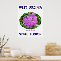 West Virginia State Flower, Rhododendron, Poster | Zazzle