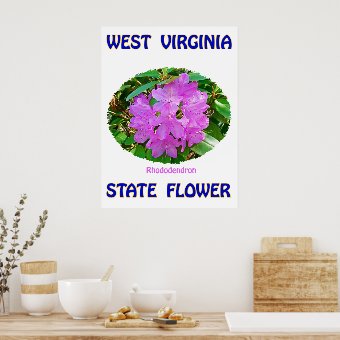 West Virginia State Flower, Rhododendron, Poster | Zazzle