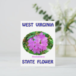 West Virginia State Flower T-Shirts & Gifts Postcard | Zazzle