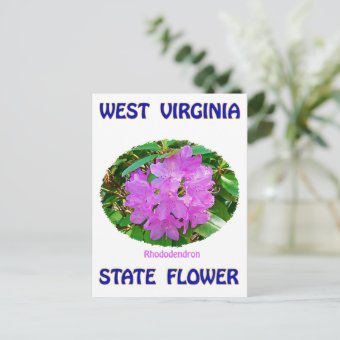West Virginia State Flower T-Shirts & Gifts Postcard | Zazzle