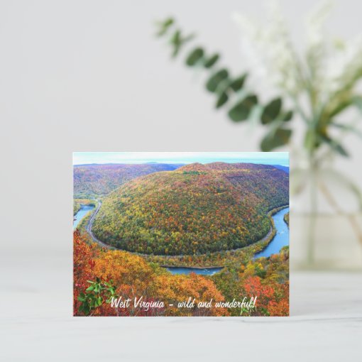 West Virginia Wild and Wonderful postcard | Zazzle