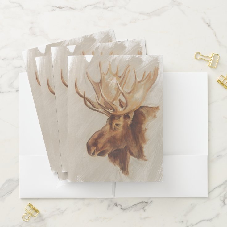 Western American Animal Study | Moose Portrait Pocket Folder | Zazzle