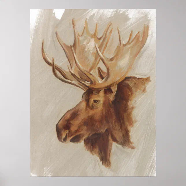 Western American Animal Study | Moose Portrait Poster | Zazzle