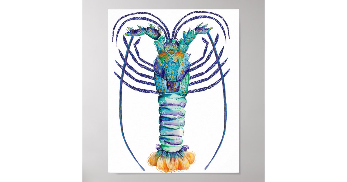 Western Australian Painted Rock Lobster Poster | Zazzle